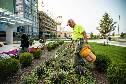 Projects Two : 2 Columns – Imagine